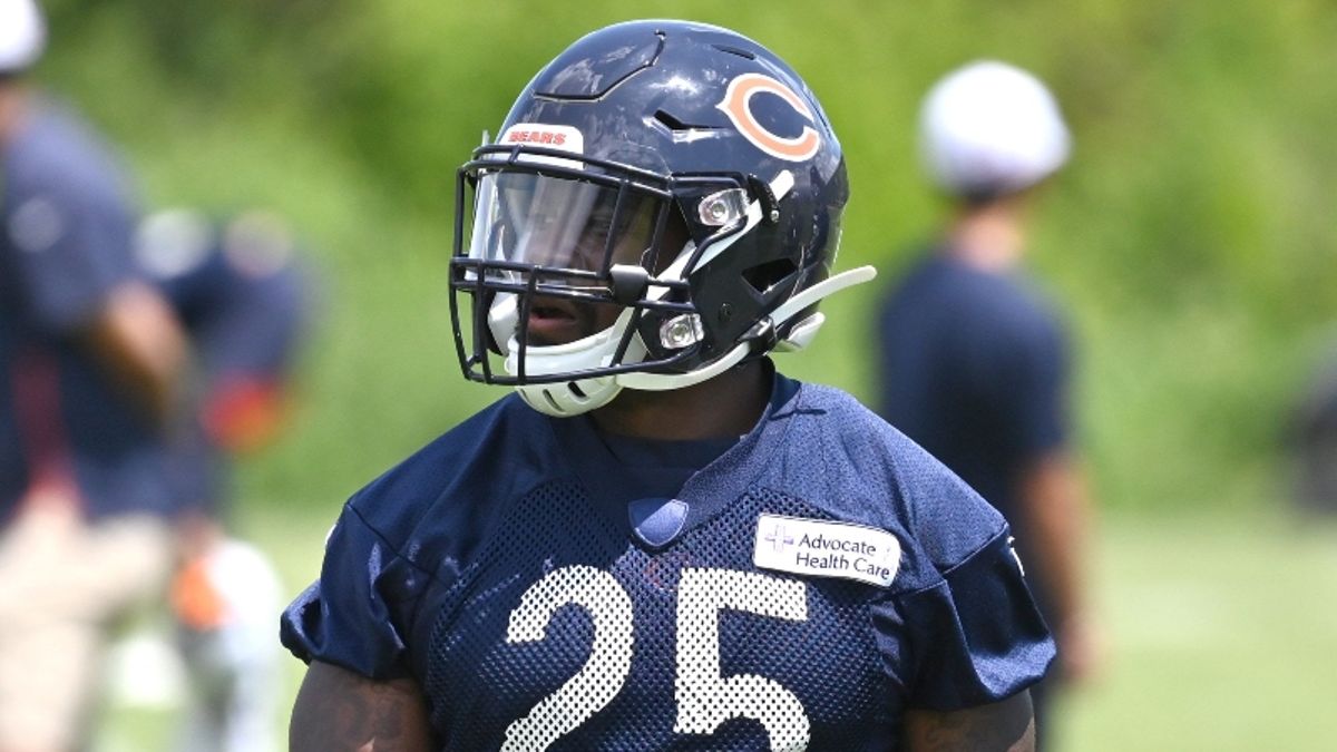 Mike Davis Fantasy Football Rankings, 2019 Projections, Analysis, More ...