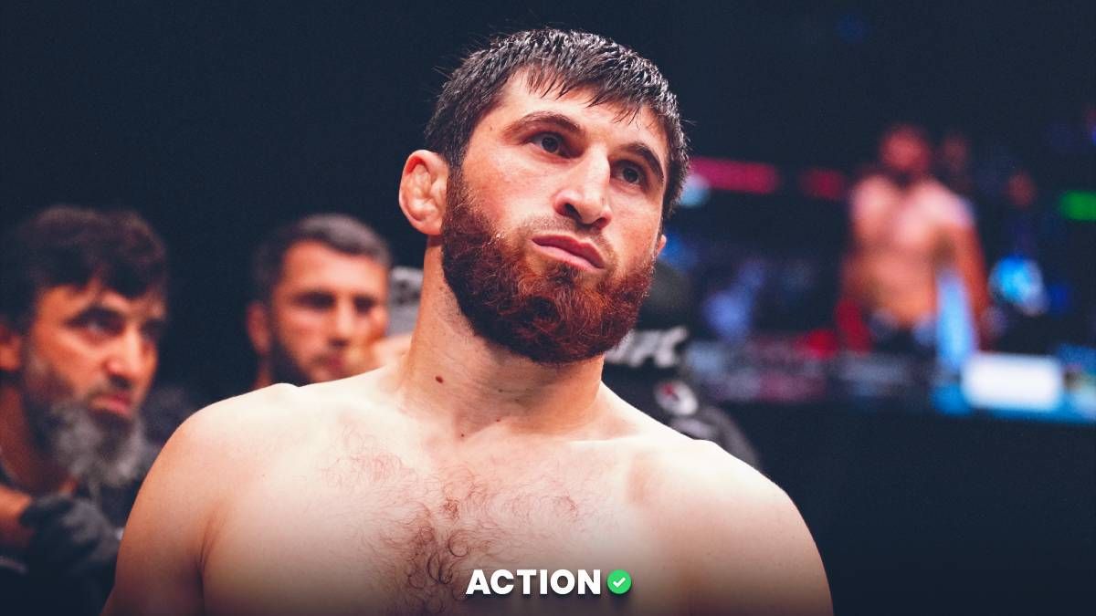 UFC 308 Odds, Pick & Prediction for Magomed Ankalaev vs Aleksandar ...