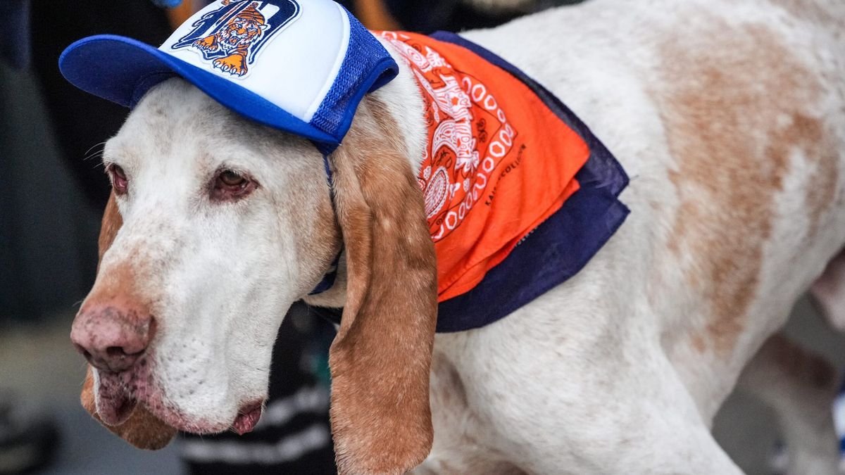 Pet Picture Competition for Baseball Fans | Win $2,000!