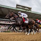 What Is a Parlay in Sports Betting? Definition, Examples