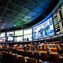 A Beginner's Guide to Betting at Las Vegas Sportsbooks: All You Need to ...