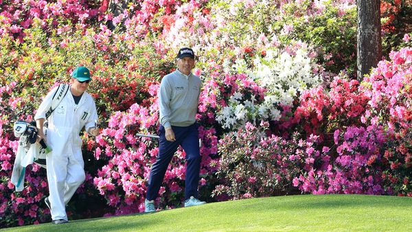 How to Setup a Golf Calcutta Auction Pool: Rules, Payouts for 2026 ...
