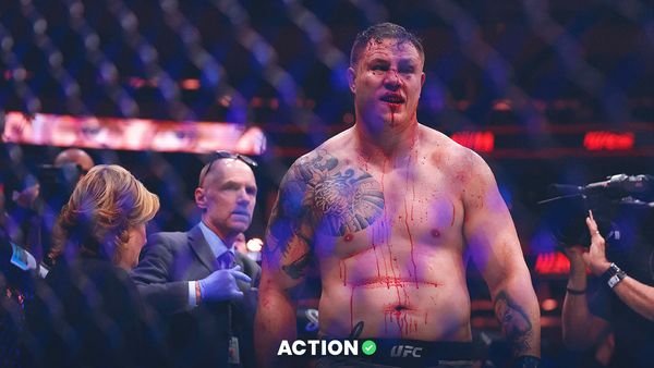 Jhonata Diniz vs. Alvin Hines Prediction, Odds, Pick for UFC 317 (June 28)