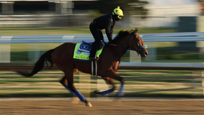 Kentucky Derby Betting Contender Practical Move Scratched